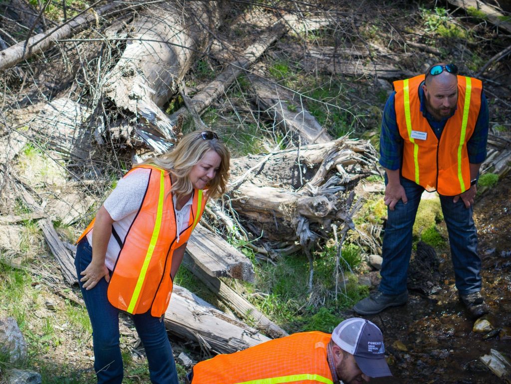 Forestry Issues – Agriculture and Forestry Education Foundation